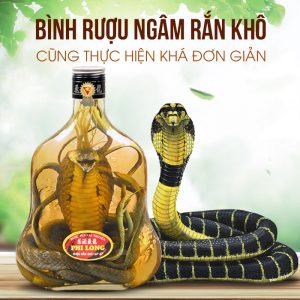Cách ngâm bình rượu ngâm rắn hổ mang từ thầy thuốc đông y và công dụng ...